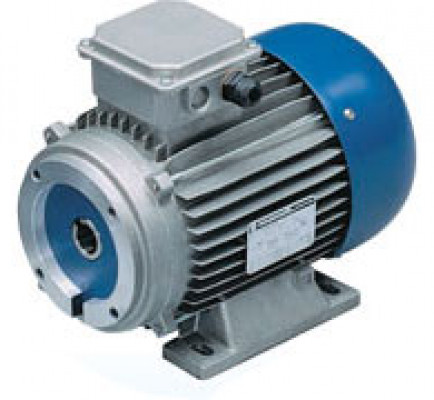 Carpanelli : Specialist Electric Motor Manufacturer in Italy | Since ...